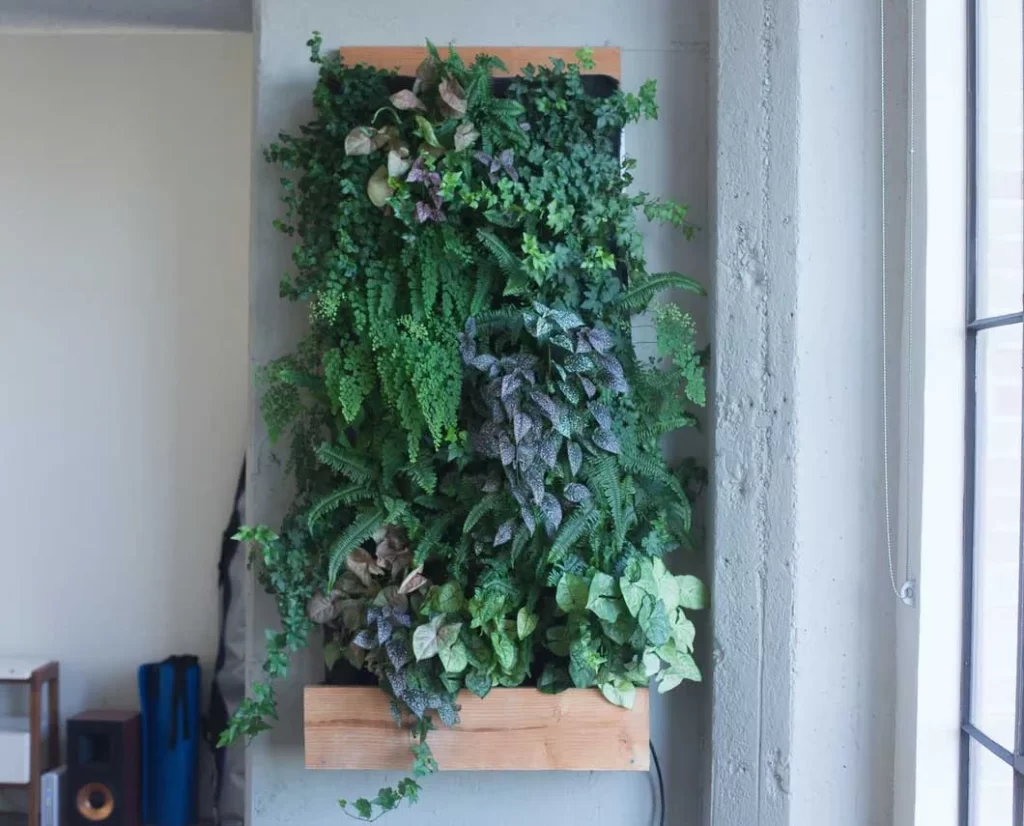 The Most Effective Living Wall Designs for Noise Reduction • Home Chroma